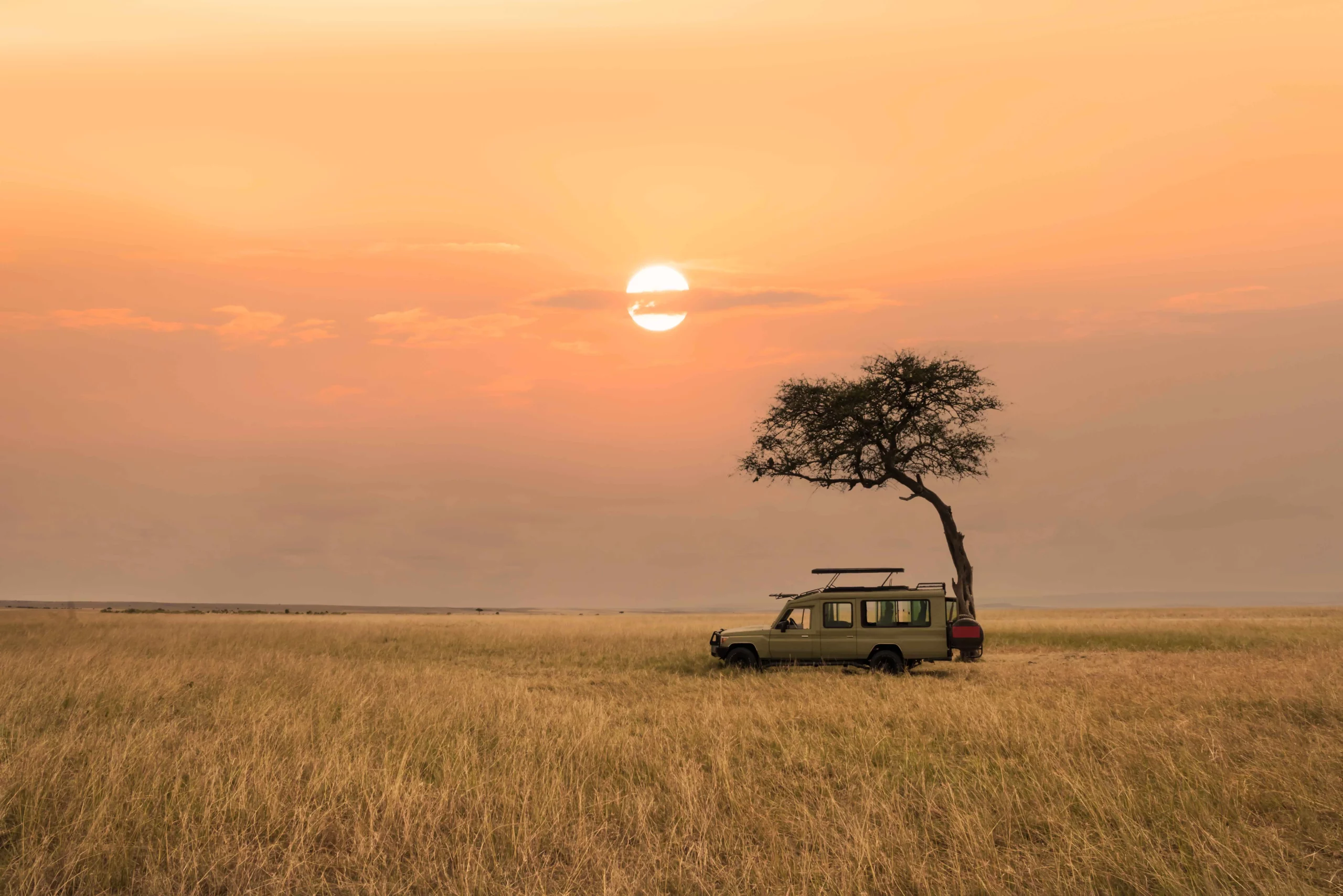 Safari in July | Best time to go to Africa