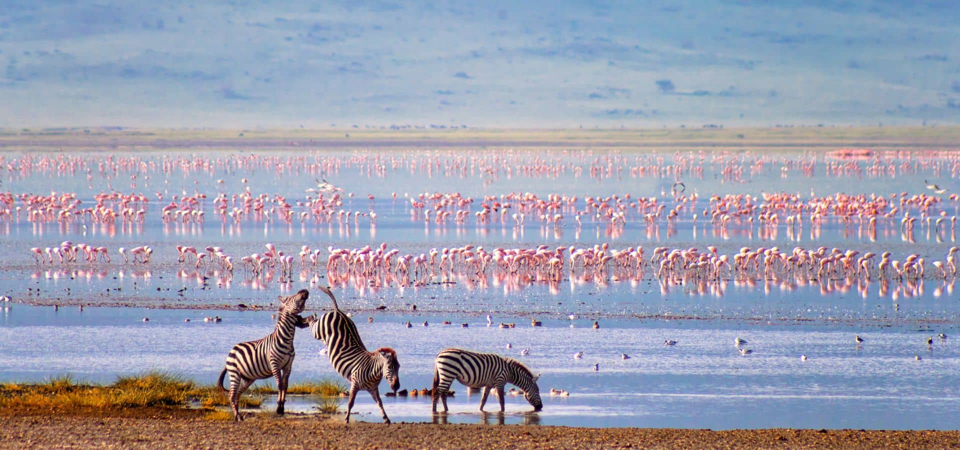 Autumn Safari Holiday | African Autumn Safari Packages