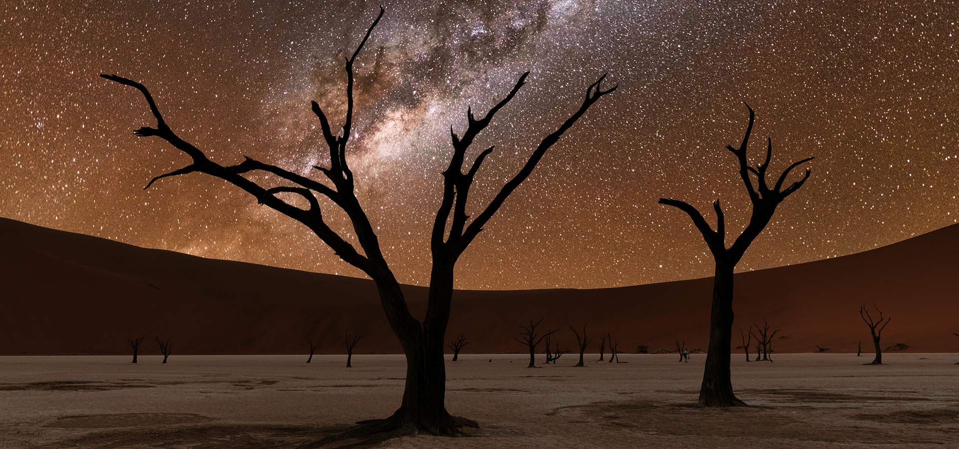 Safari in October | Best time to go to Africa