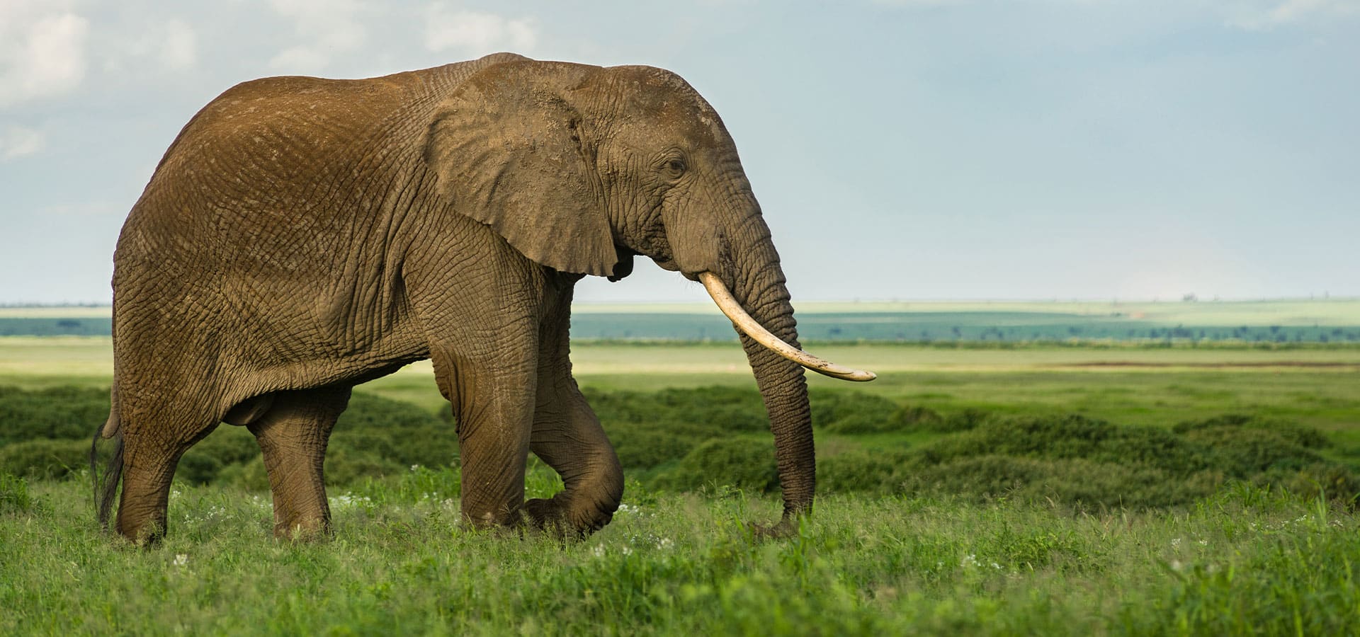 Safari de luxe au Masaï Mara | Excursion de 13 jours, prix et itinéraire