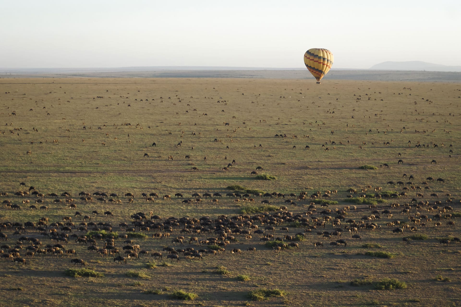 Luxury African Safaris | Tailor-Made Safari Packages