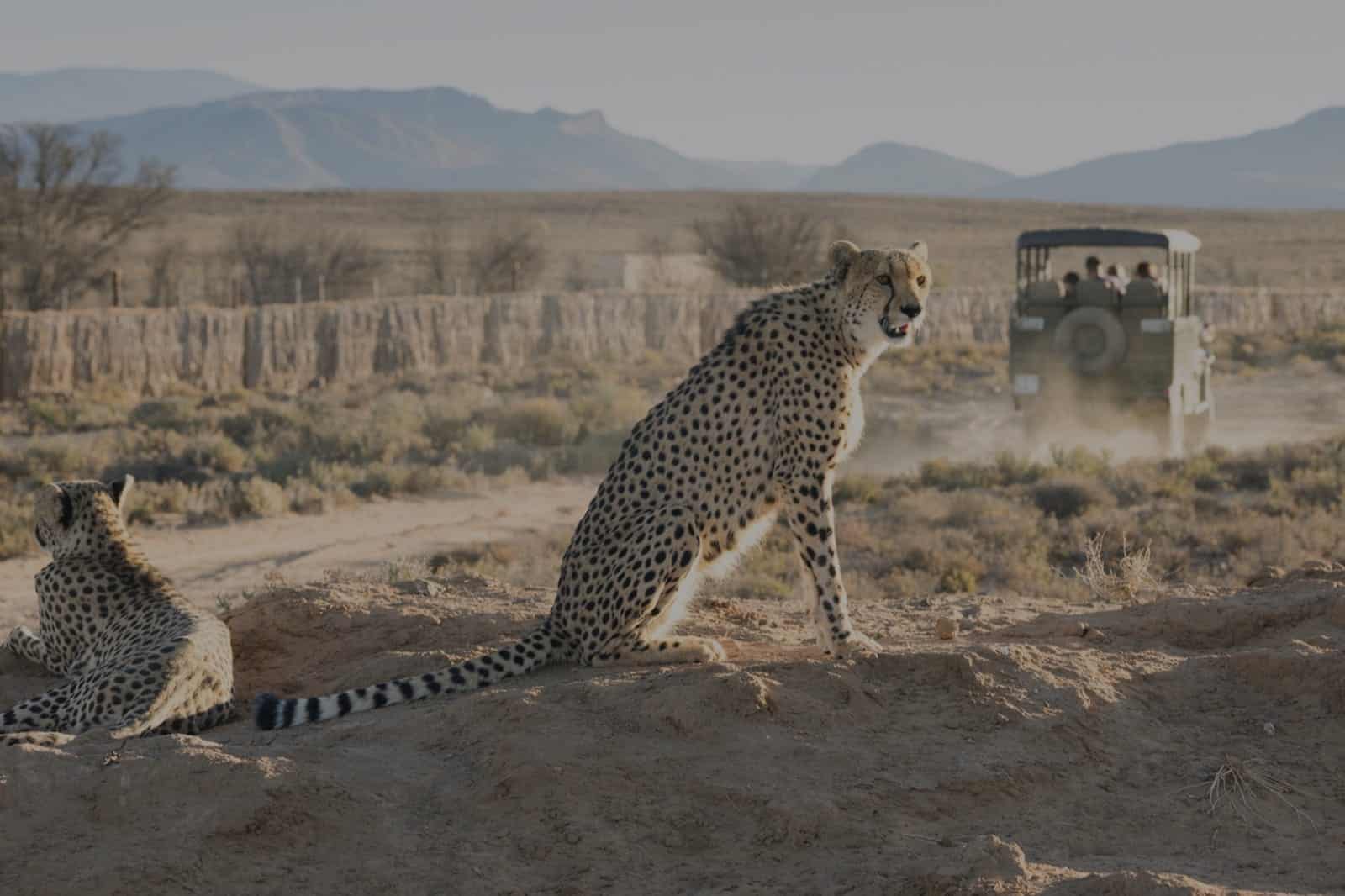Seven Natural Wonders of Africa | Red Sea, Sahara Desert & More