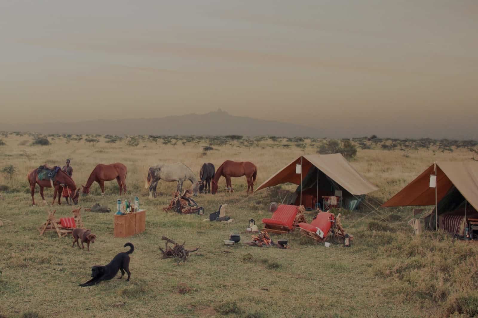 Safari en septembre | Meilleure période pour partir en Afrique