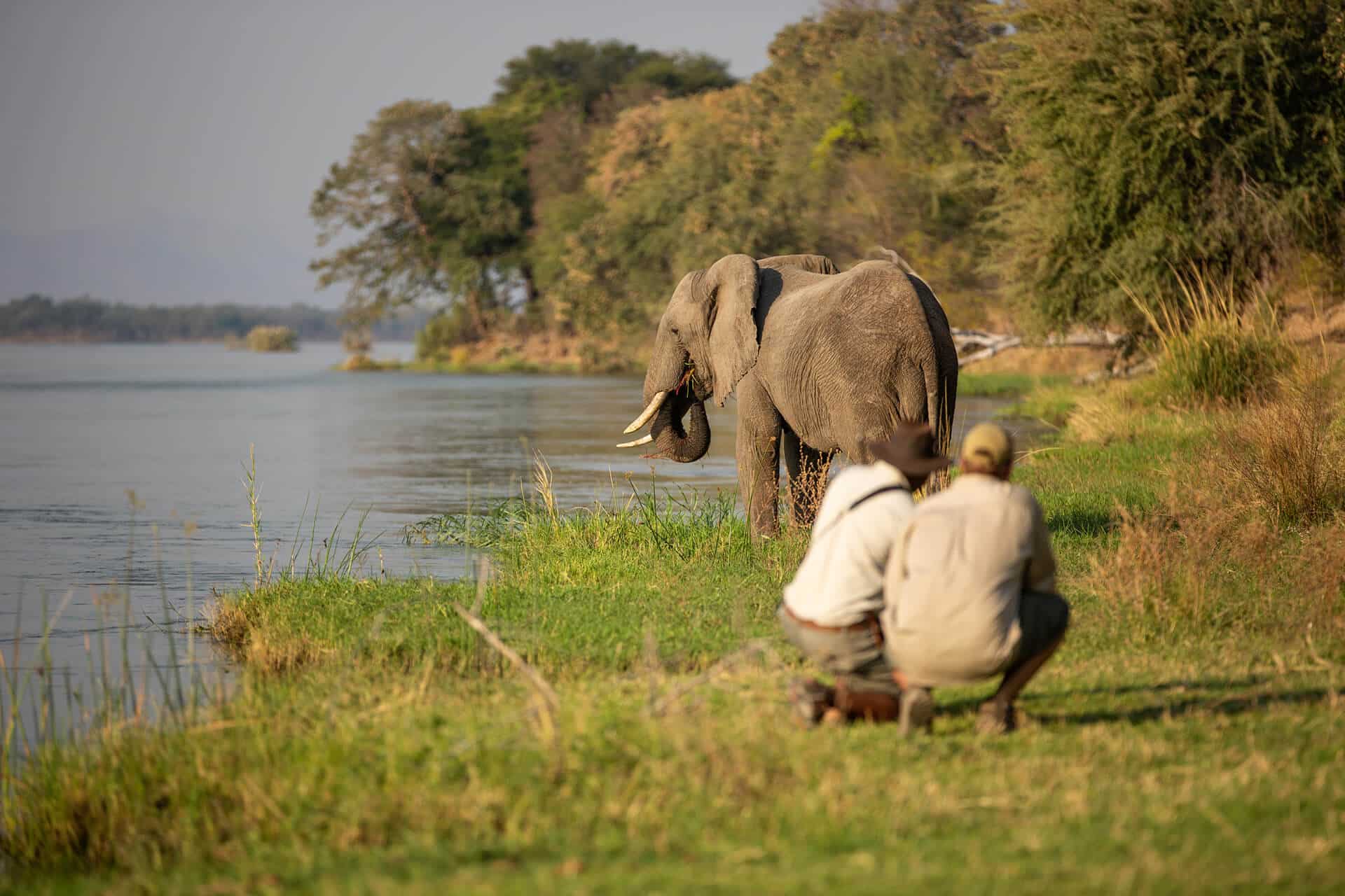 Luxury African Safari Destinations | Exclusive African Safari Locations