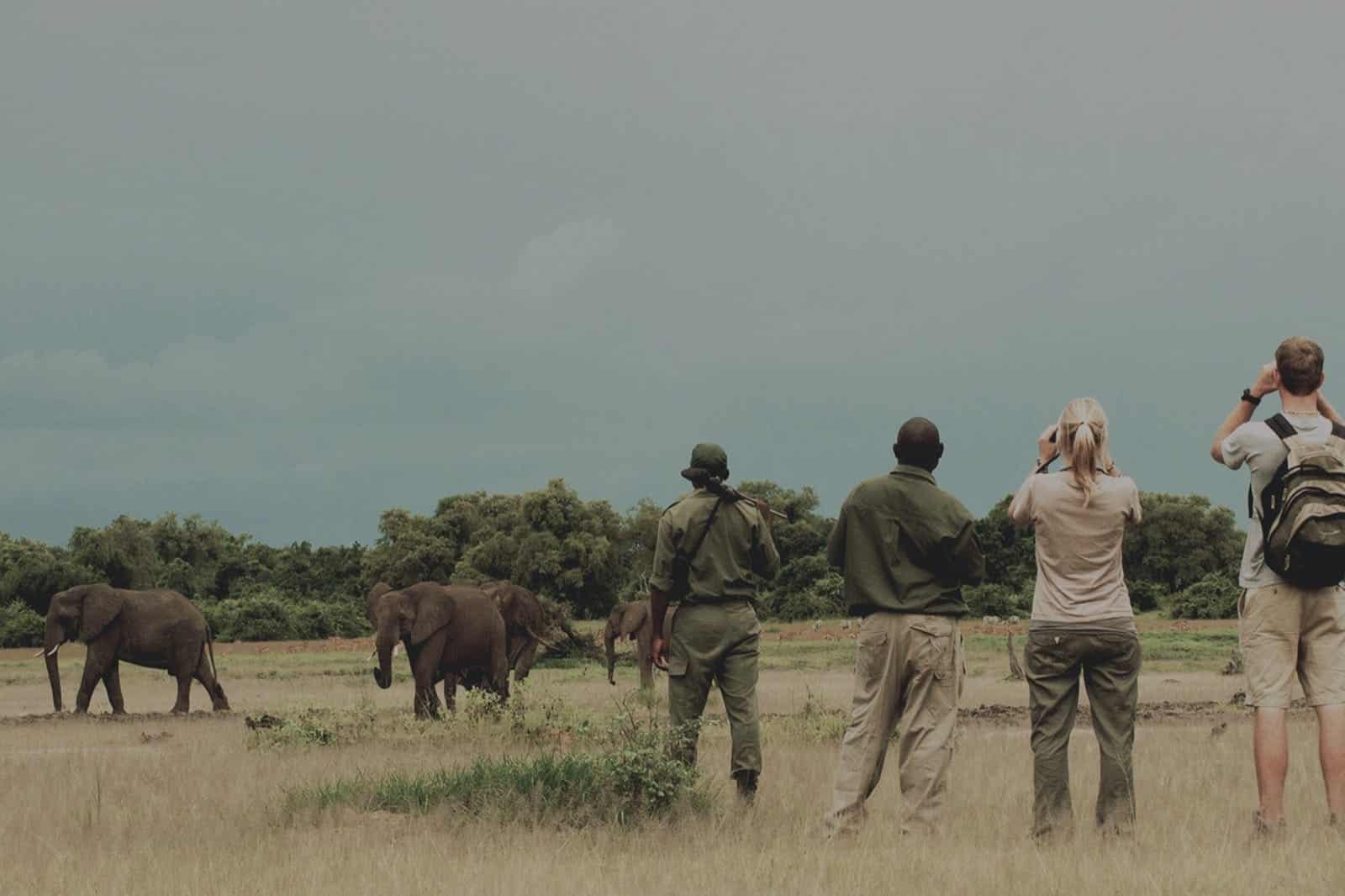 Jan Hendrik van der Westhuizen | African Conservation Leader
