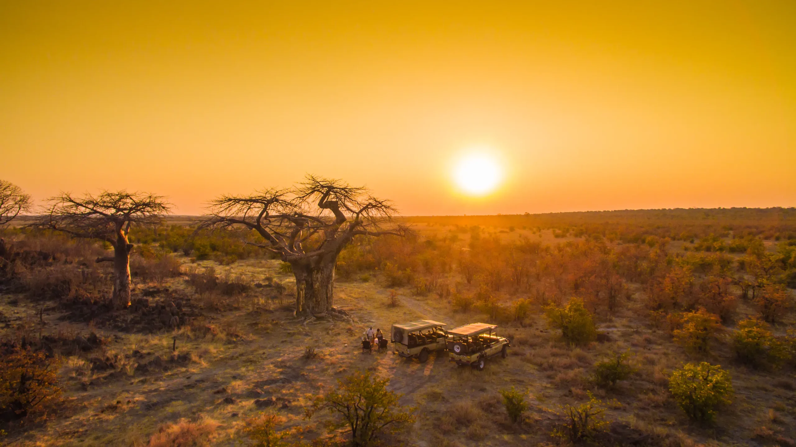 Safari in September | Best time to go to Africa